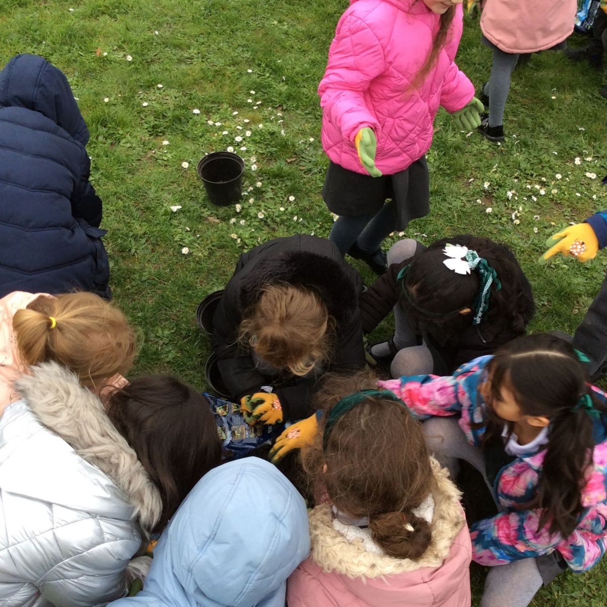 Feltham Hill Infant and Nursery School - Planting in the Community