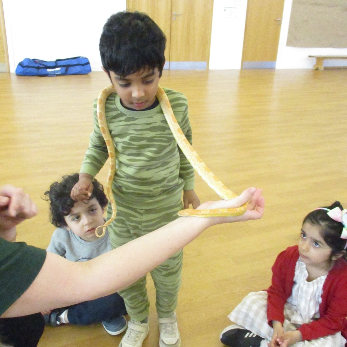 Feltham Hill Infant and Nursery School - Wild animals in the Nursery!